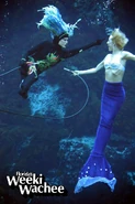 Sea Witch (Weeki Wachee Springs) | Villains Wiki | Fandom