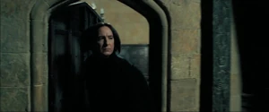 Severus Snape/Gallery | Villains Wiki | Fandom