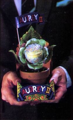 Baby Audrey Ii