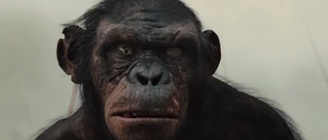 Koba (Planet of the Apes)/Gallery | Villains Wiki | Fandom