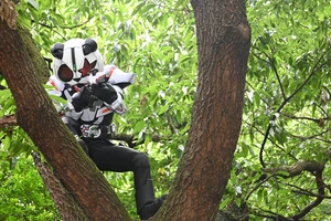 Kanato Sumida/Kamen Rider Da-Paan | Villains Wiki | Fandom