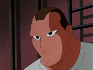 Firefly (DC Animated Universe) | Villains Wiki | Fandom