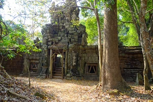 Daevites | Villains Wiki | Fandom