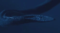 Hive (Marvel Cinematic Universe) | Villains Wiki | Fandom