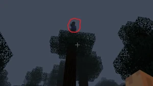 Herobrine/Gallery | Villains Wiki | Fandom