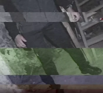 The Cipsneed | Villains Wiki | Fandom