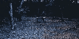 Sadako Yamamura/Gallery | Villains Wiki | Fandom