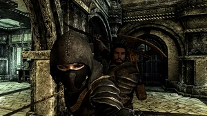Thalmor | Villains Wiki | Fandom