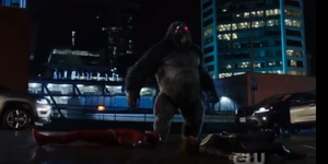 Grodd (Arrowverse)/Gallery | Villains Wiki | Fandom