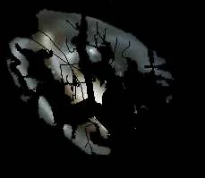 Rot | Villains Wiki | Fandom