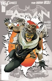 Talon (DC) | Villains Wiki | Fandom
