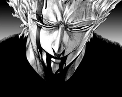 Garou (One-Punch Man)/Gallery | Villains Wiki | Fandom