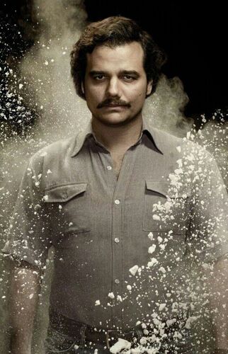 Pablo Escobar (Narcos) | Villains Wiki | Fandom