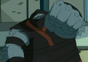 Shadowkhan | Villains Wiki | Fandom