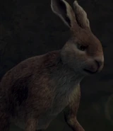 Cowslip | Villains Wiki | Fandom