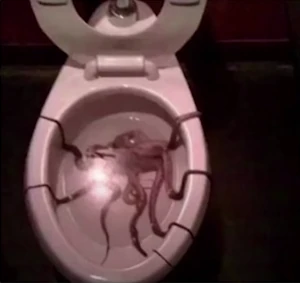 Lunch Club Pantheon | Villains Wiki | Fandom