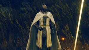 Needle Knight Leda | Villains Wiki | Fandom