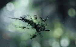 Xenomorphs | Villains Wiki | Fandom