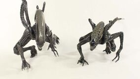 Xenomorph Warrior | Villains Wiki | Fandom Xenomorph Warrior | Villains Wiki | Fandom