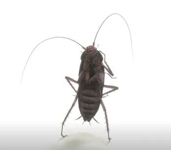 Ezekiel the Cockroach | Villains Wiki | Fandom