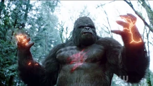 Grodd (Arrowverse)/Gallery | Villains Wiki | Fandom