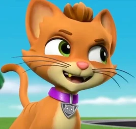 The Copycat | Villains Wiki | Fandom