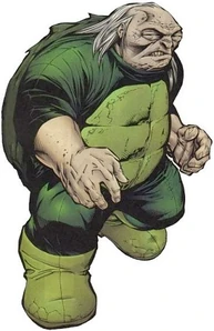 Turtle (DC) | Villains Wiki | Fandom