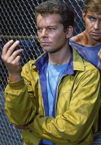 Riff (West Side Story) | Villains Wiki | Fandom