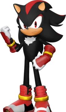 Shadow The Hedgehog In Real Life