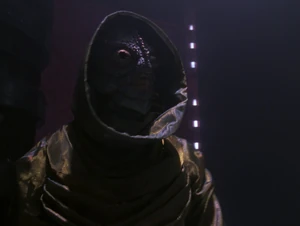 Solanogen-Based Aliens | Villains Wiki | Fandom