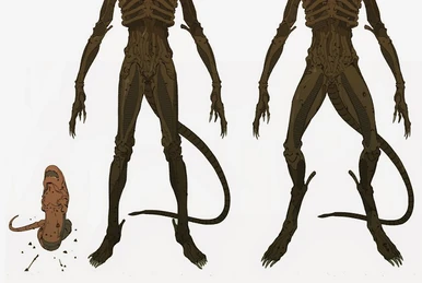 Xenomorph Queen Villains Wiki Villains Bad Guys Characters In Ben 10: