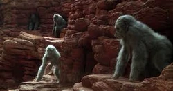 Gray Gorillas | Villains Wiki | Fandom