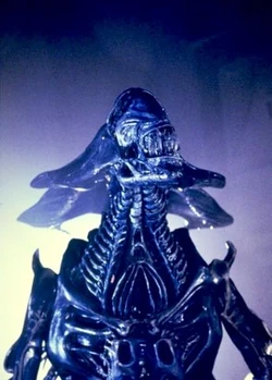 Xenomorph Queen Villains Wiki Fandom Powered By Wikia Xenomorphs