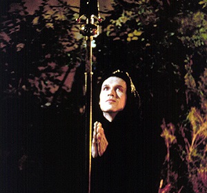 Valek | Villains Wiki | Fandom