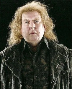 Peter Pettigrew (Warner Bros.) | Villains Wiki | Fandom