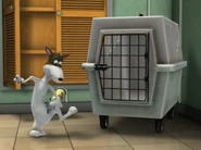 Baxter (Back at the Barnyard) | Villains Wiki | Fandom