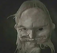 Family (OPAL) | Villains Wiki | Fandom