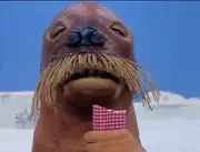 Giant Walrus | Villains Wiki | Fandom