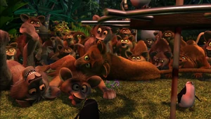 Fossas (Madagascar)/Gallery | Villains Wiki | Fandom