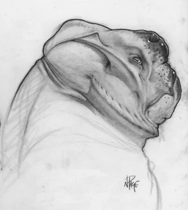 Clover (Cloverfield)/Gallery | Villains Wiki | Fandom