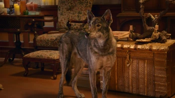 Grim (Phantom Pups) | Villains Wiki | Fandom