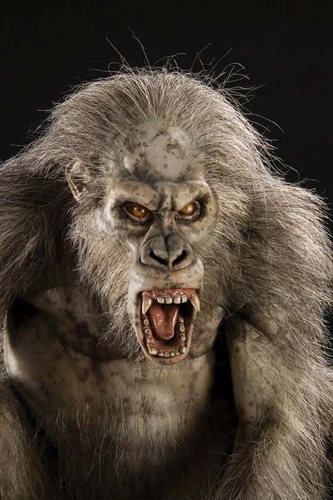 Gray Gorillas | Villains Wiki | Fandom