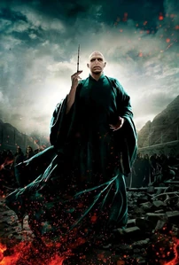 Lord Voldemort (Harry Potter)/Gallery | Villains Wiki | Fandom