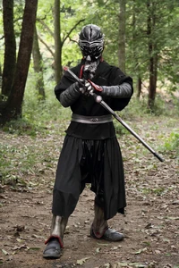 Stardust Ninja Dustards | Villains Wiki | Fandom