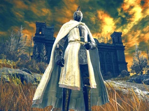 Needle Knight Leda | Villains Wiki | Fandom