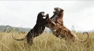 Shere Khan (2016)/Gallery | Villains Wiki | Fandom