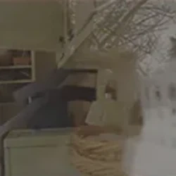 Woodcrawlers | Villains Wiki | Fandom