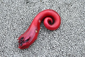 Madakko/Gallery | Villains Wiki | Fandom