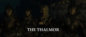 Thalmor | Villains Wiki | Fandom