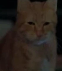 Red (Stuart Little) | Villains Wiki | Fandom